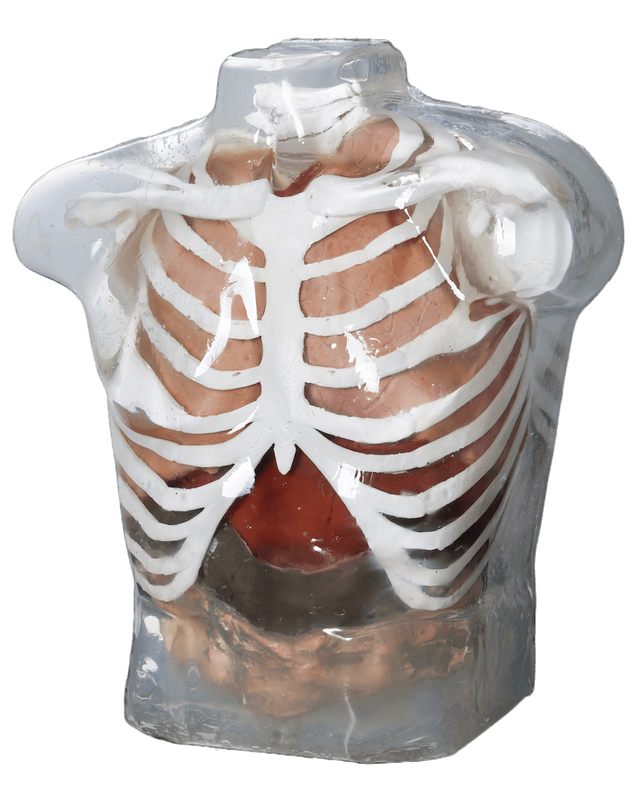 Homepage | Clear Ballistics