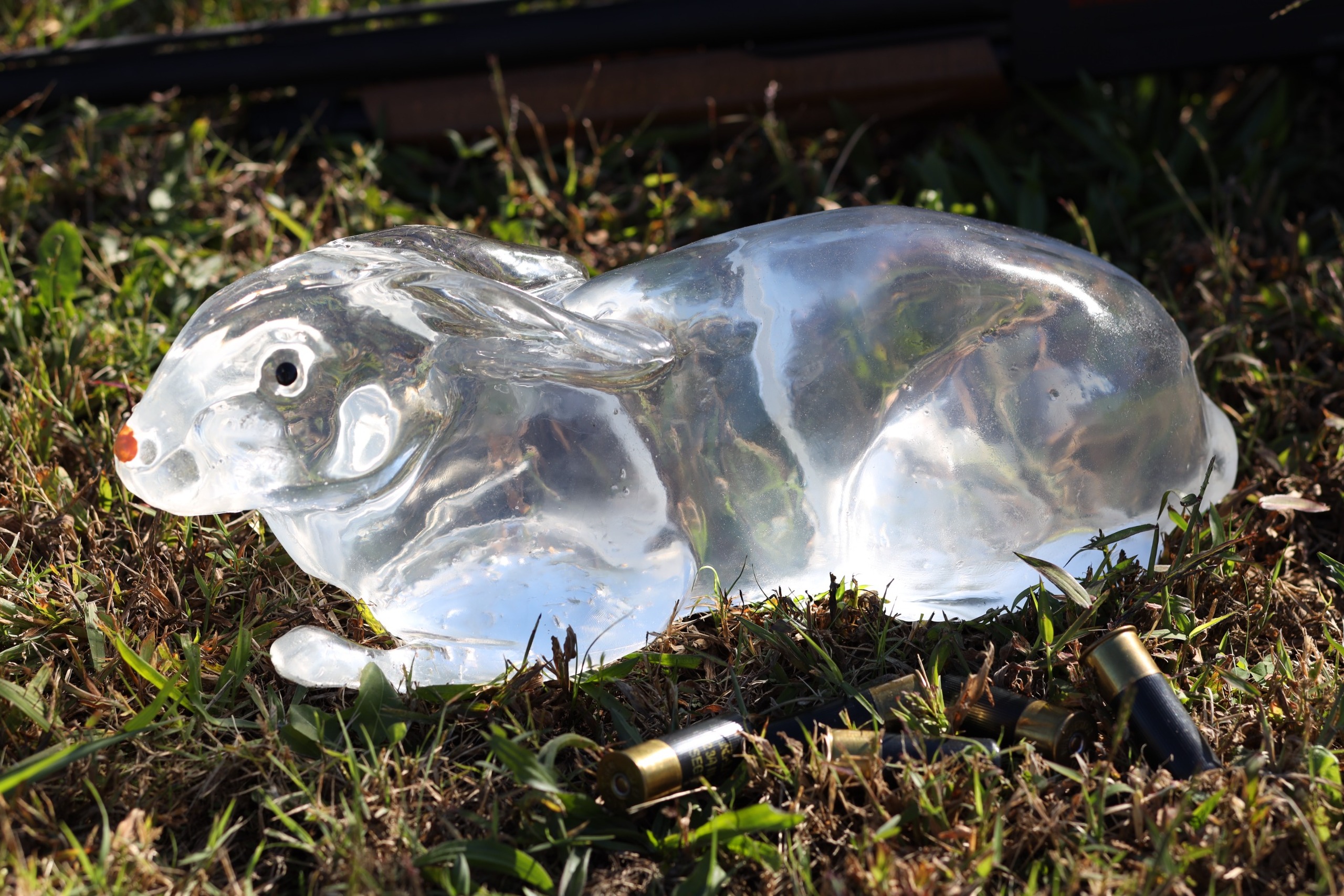 Homepage | Product Details