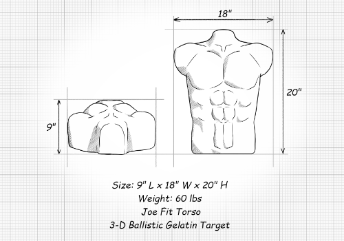 Joe Fit 10% Gel Torso & Mold | Reusable Ballistic Testing Dummy – Clear ...