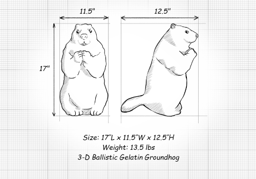 Clear Ballistics | Gel Groundhog 3-D Target