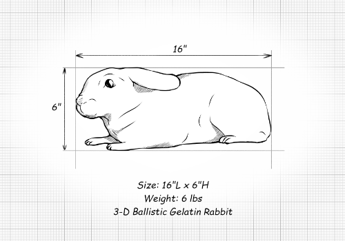 Homepage | Product Details