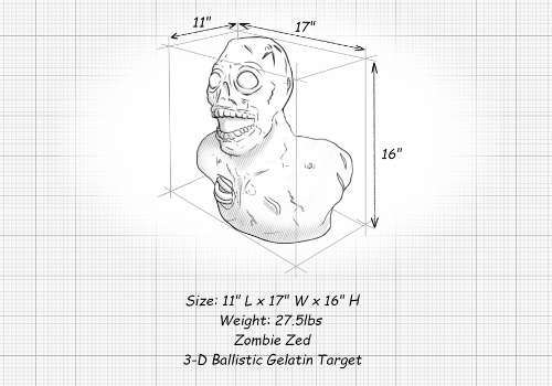 Clear Ballistics | Zombie Zed